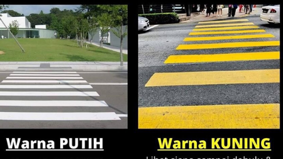 Selalu Nampak Tapi Tak Tahu Beza Antara Zebra Crossing Kuning & Putih ...